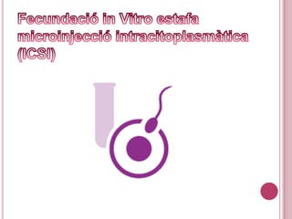 Fecundació in vitro | PPTX