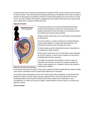 Fecundación y desarrollo embrionario | DOCX