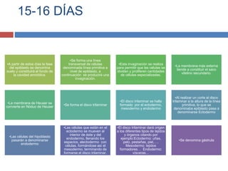 Fecundación desarrollo embrionario y fetal | PPTX
