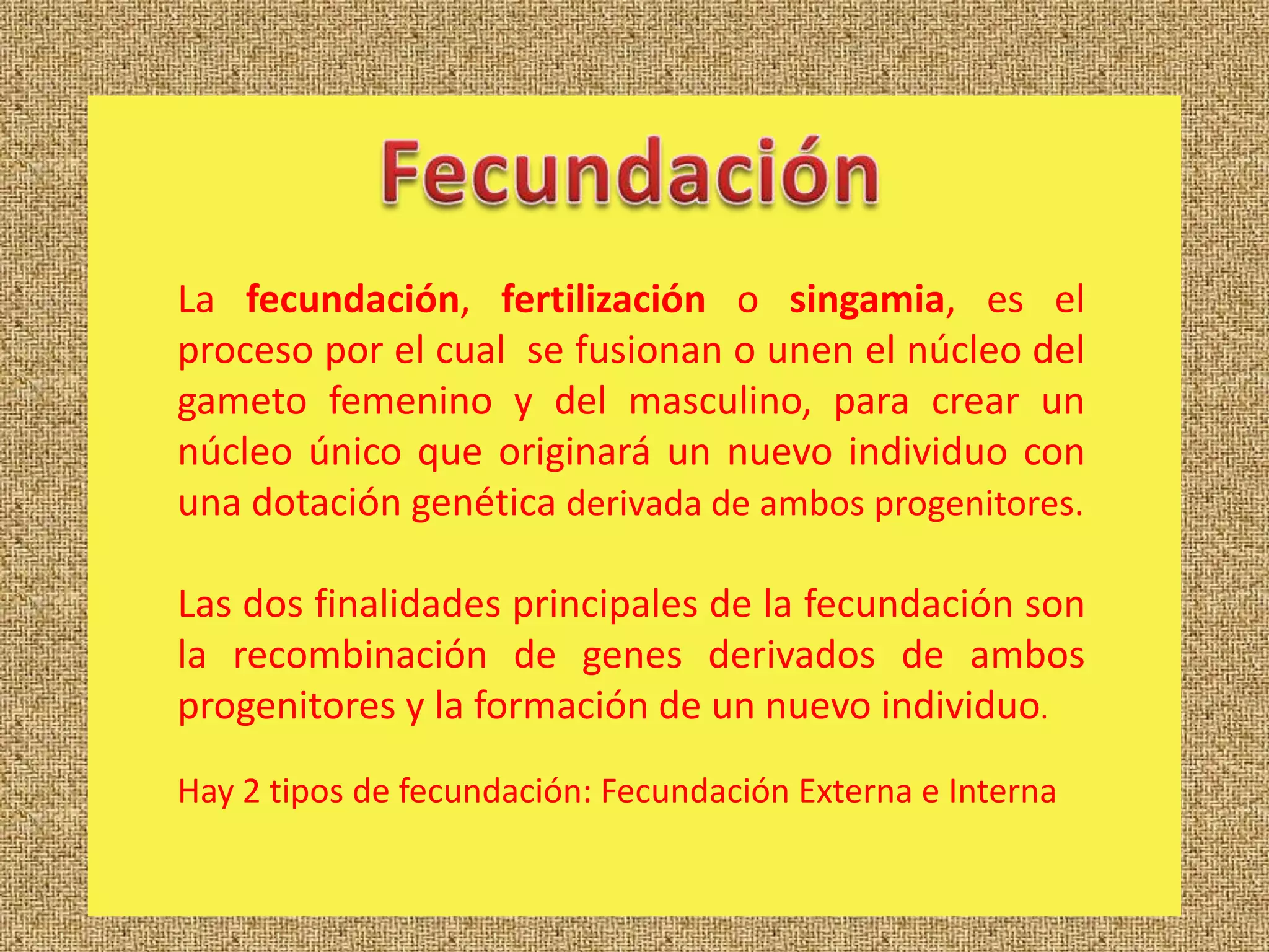 Fecundacion embarazo parto y lactancia (1) | PPT