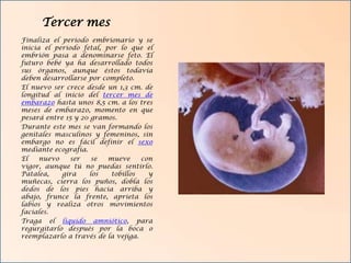 Fecundacion, embarazo y parto | PPTX