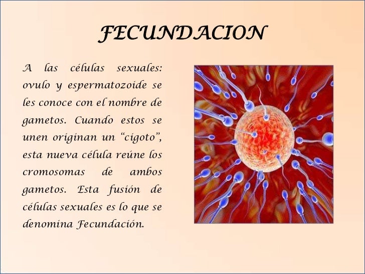 GRADO SÉPTIMO | CIENCIAS