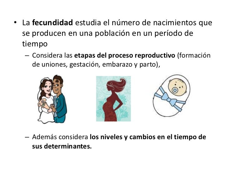 Definicin De Estoicismo Qu Es Su Significado Y Concepto Estaciones Del