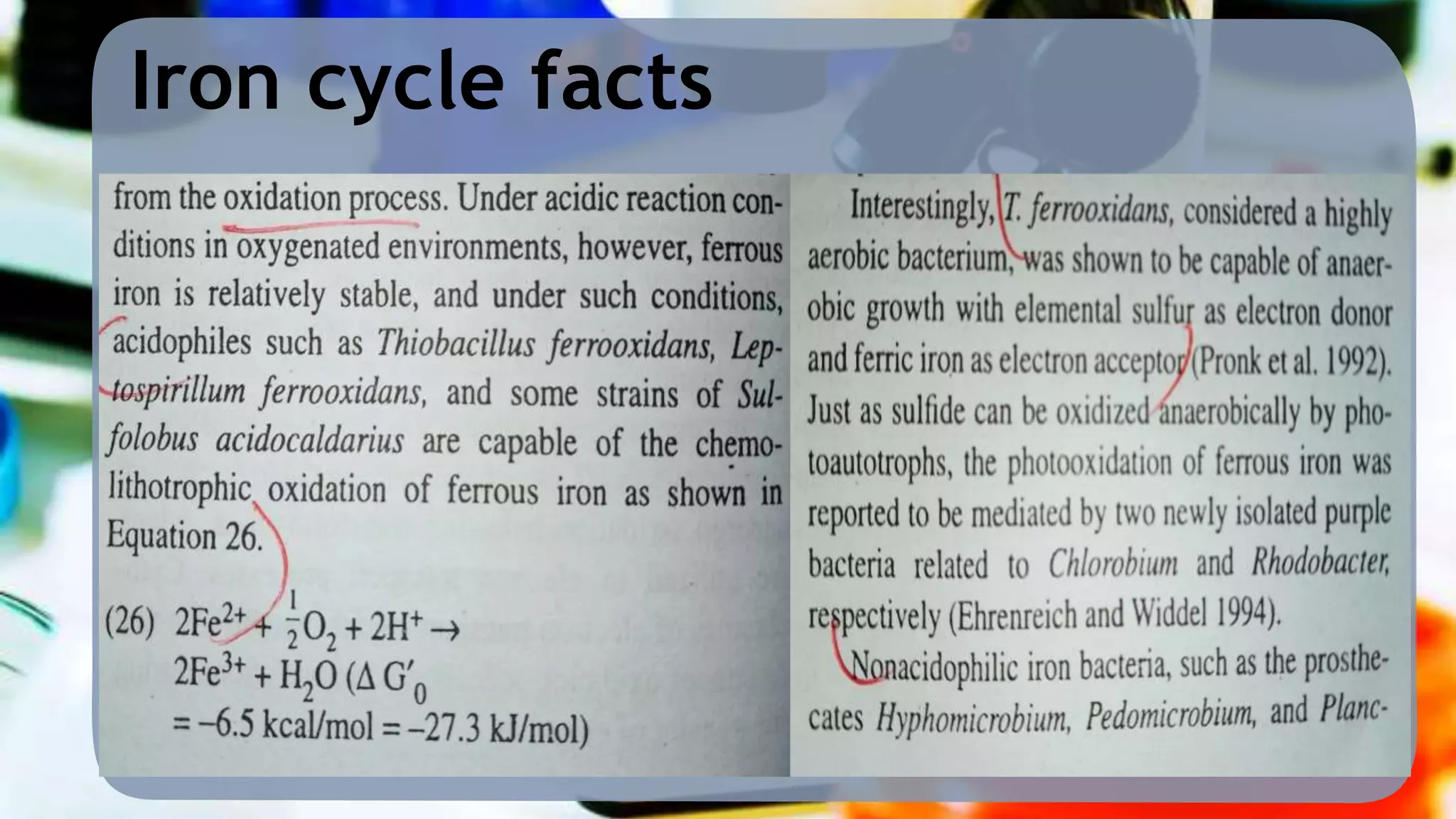 Fe Cycle.pptx