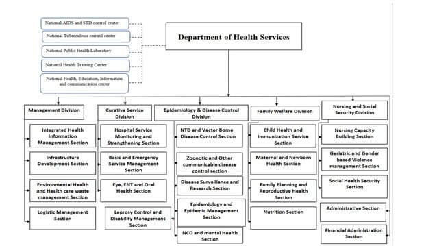 Federal health system in nepal | PPTX