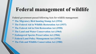 Federal management of wildlife.pptx