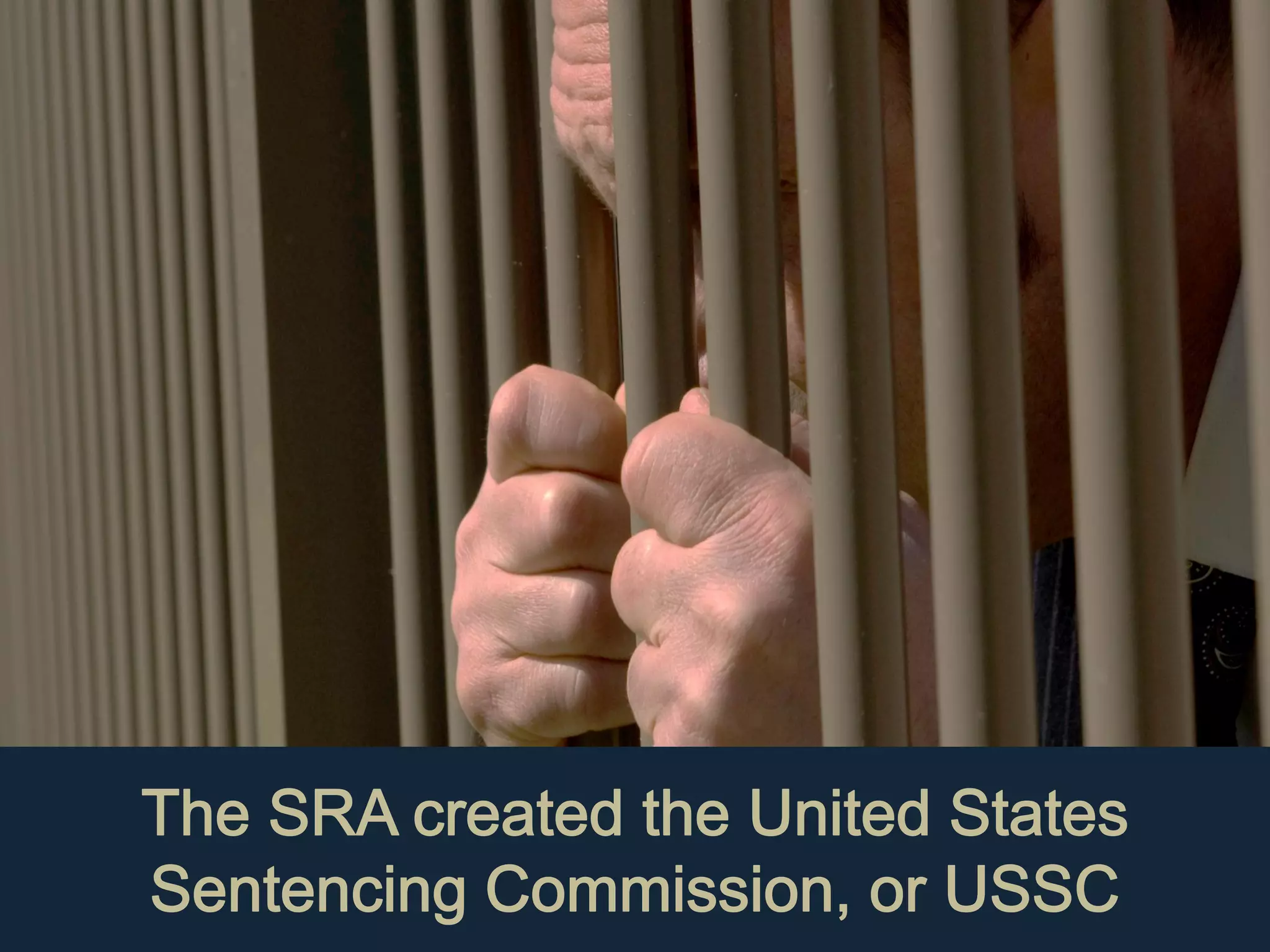 Federal Sentencing Guidelines: Understanding the Basics | PDF