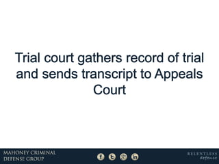 Federal Sentencing Guidelines: Understanding the Basics | PDF