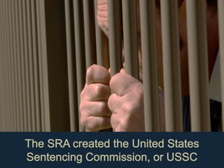 Federal Sentencing Guidelines: Understanding the Basics | PDF