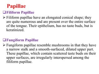 FEDHA GIT HISTO (1).pptx