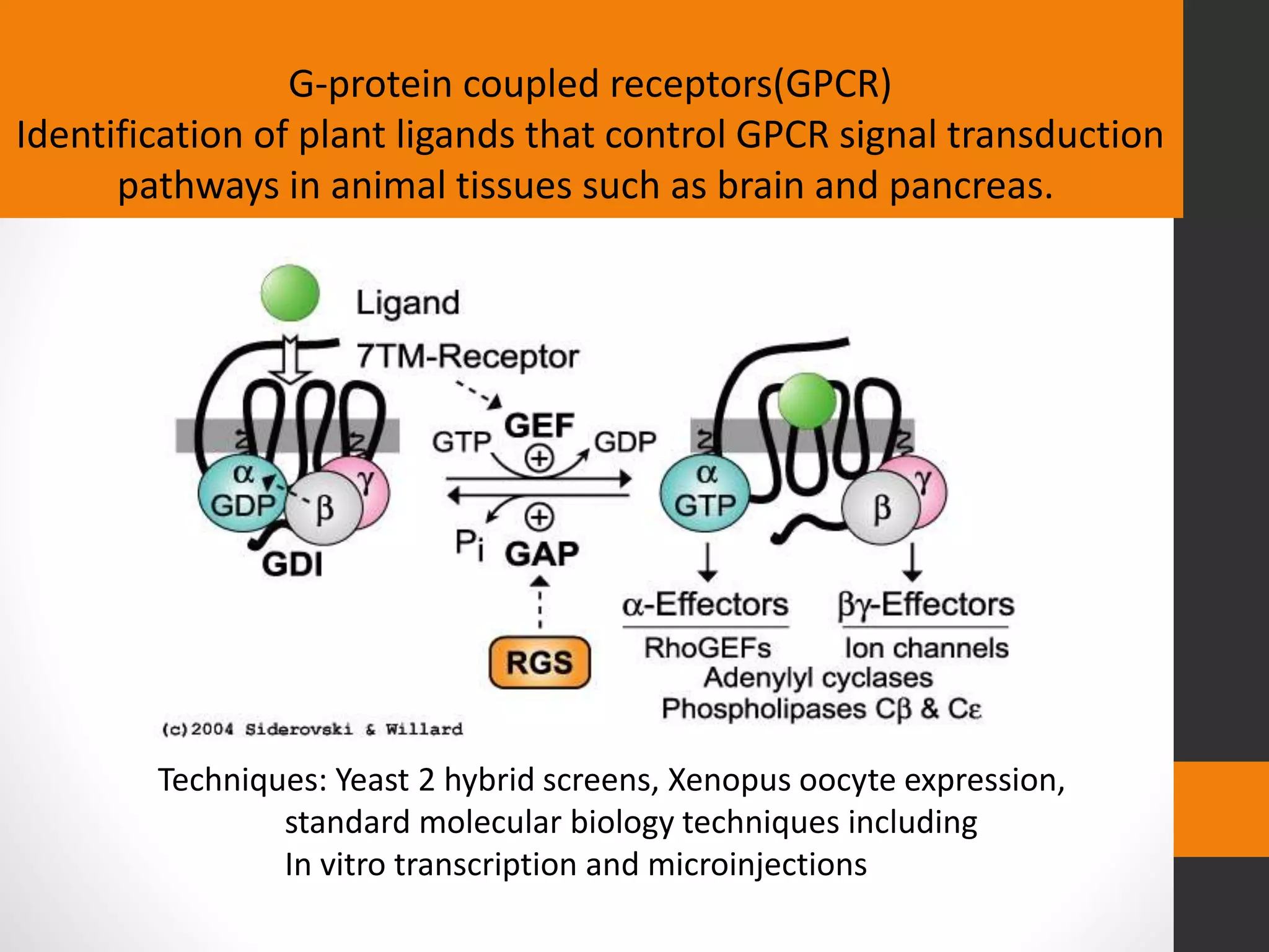 Fedora sutton g-protein coupled receptors | PPTX