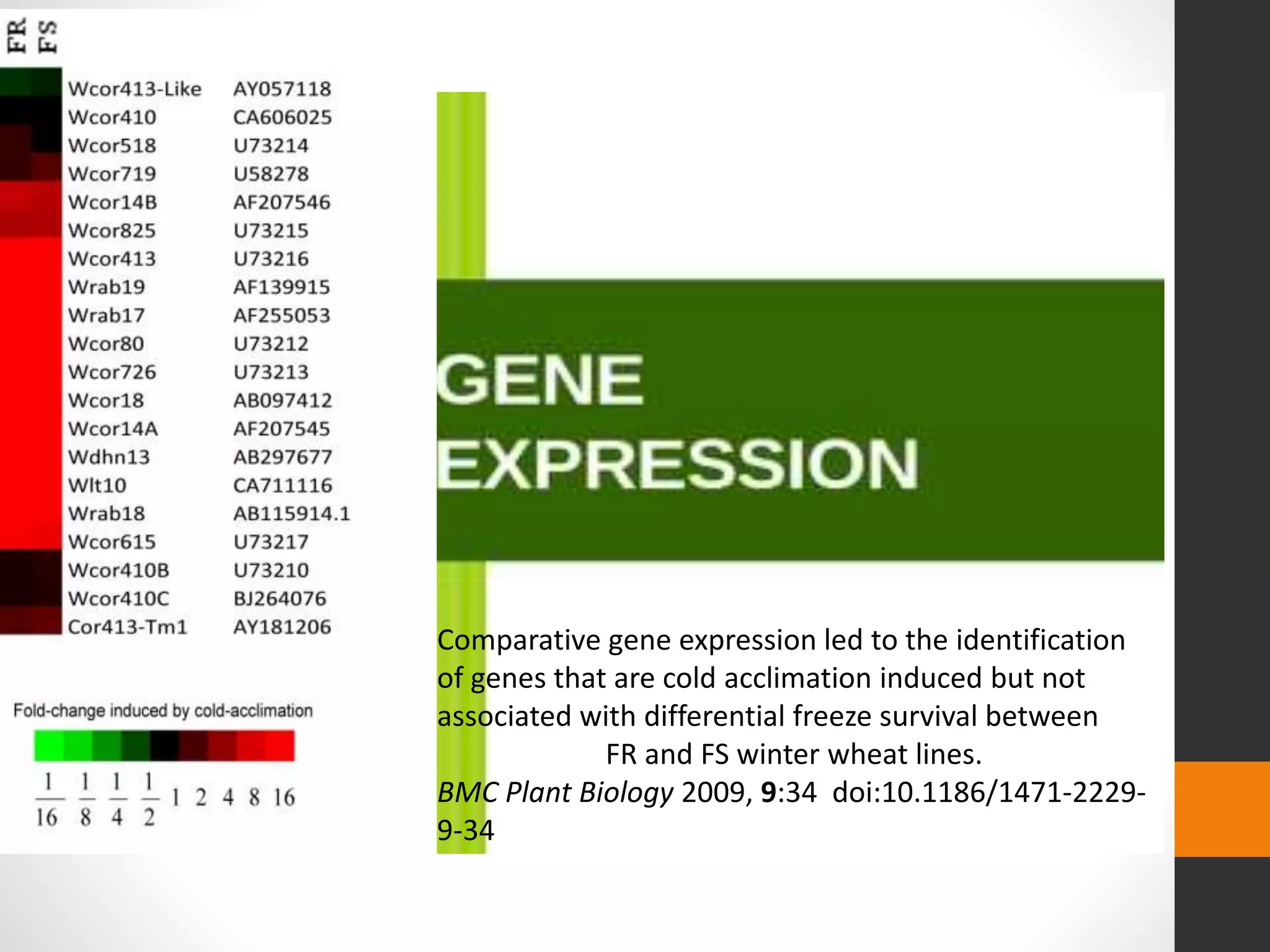Fedora sutton g-protein coupled receptors | PPTX
