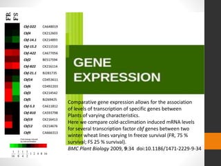 Fedora sutton g-protein coupled receptors | PPTX