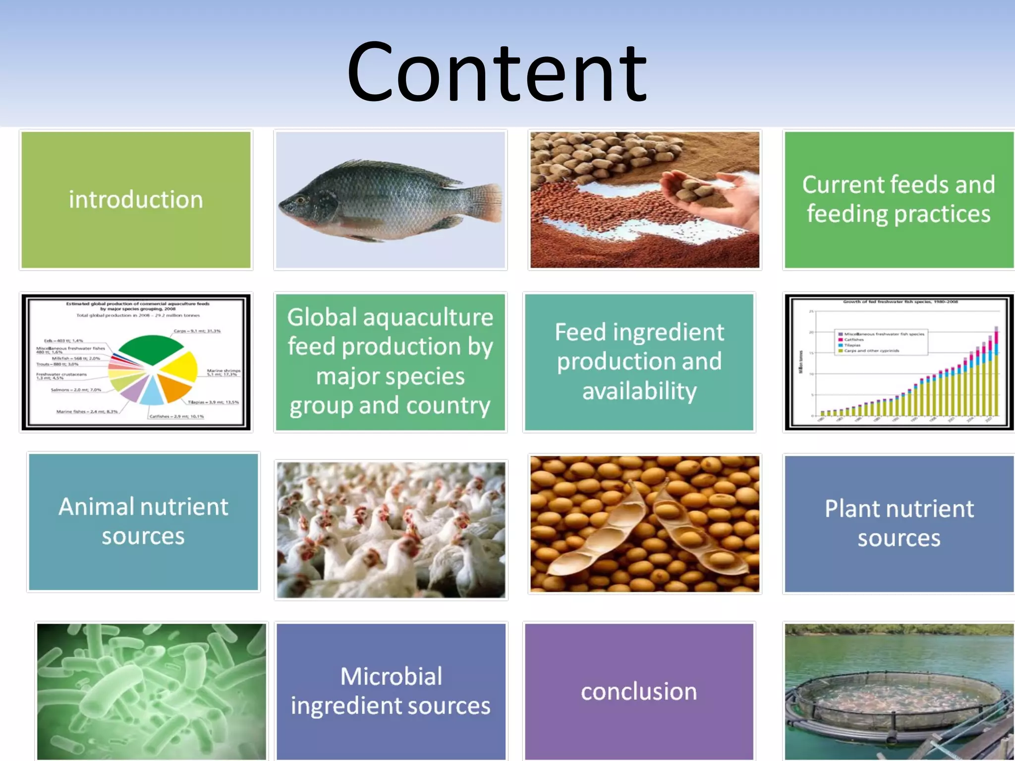 Conventional protein sources for aqua feed | PPT