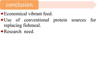 Conventional protein sources for aqua feed | PPT