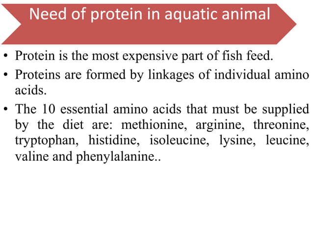 Conventional protein sources for aqua feed | PPT