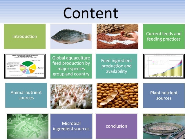 Conventional protein sources for aqua feed