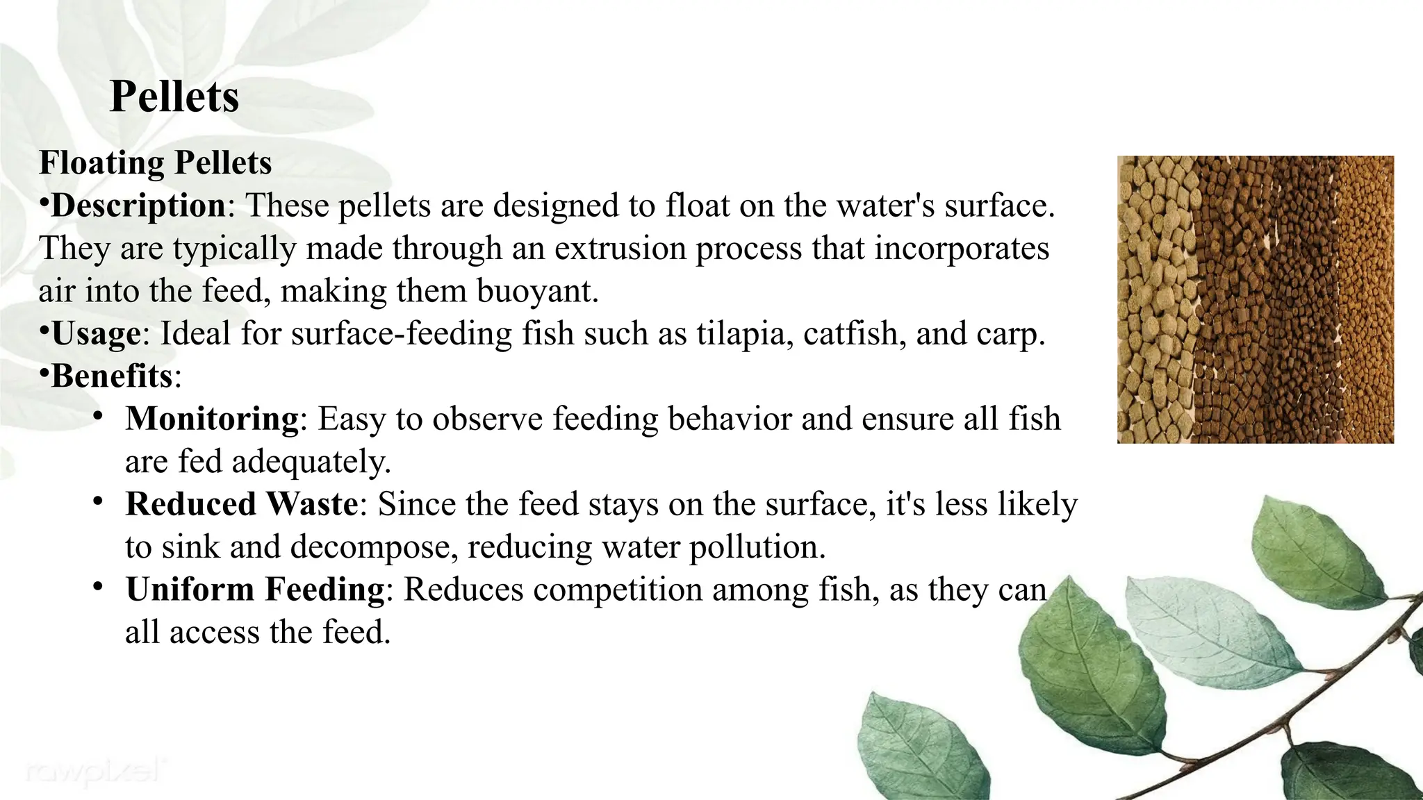 types of feed use in aquaculture in details | PPT