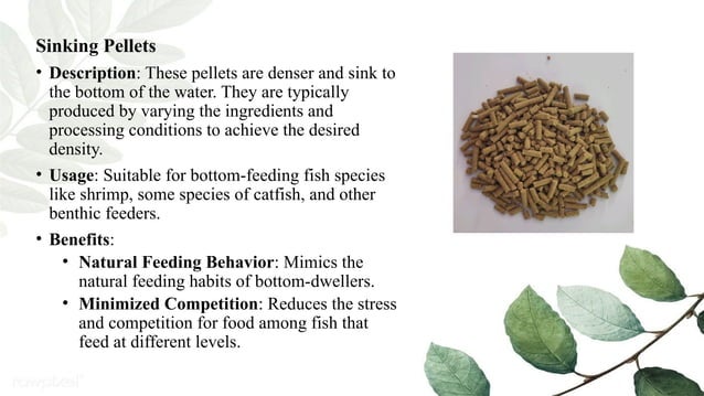 types of feed use in aquaculture in details | PPT