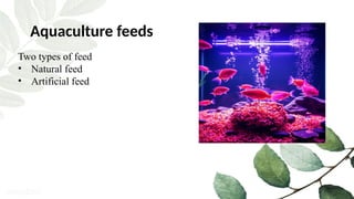 types of feed use in aquaculture in details | PPTX