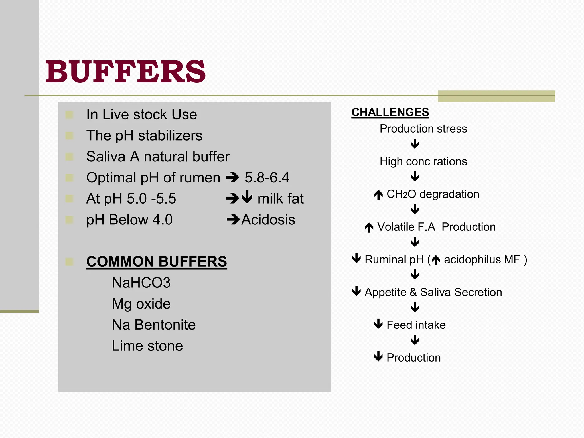 Feed additive its types composition and use | PPT