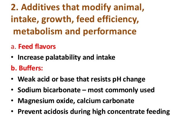 Feed Additives (Animal Nutrtion)