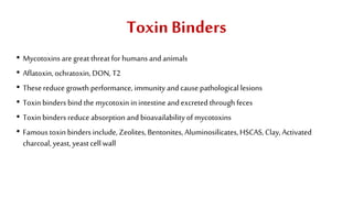 Feed additives for poultry | PPSX