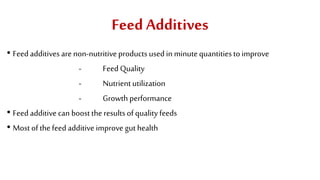 Feed additives for poultry | PPSX