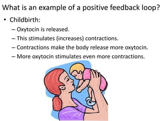 Feedback loops | PPTX