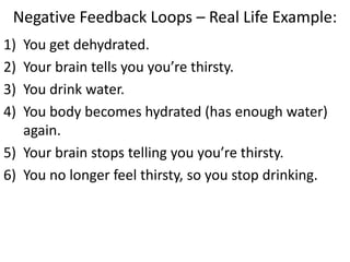 Feedback loops | PPTX