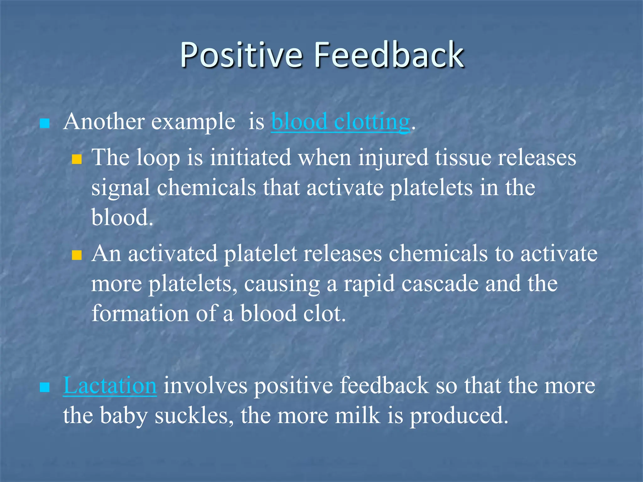 FEEDBACK-MECHANISM.POWERPOINT GRADE 12 SHS | PPT