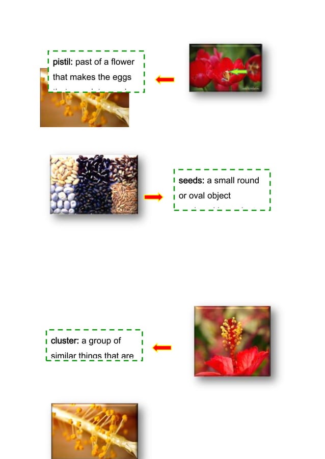 CBI lesson plan | DOCX