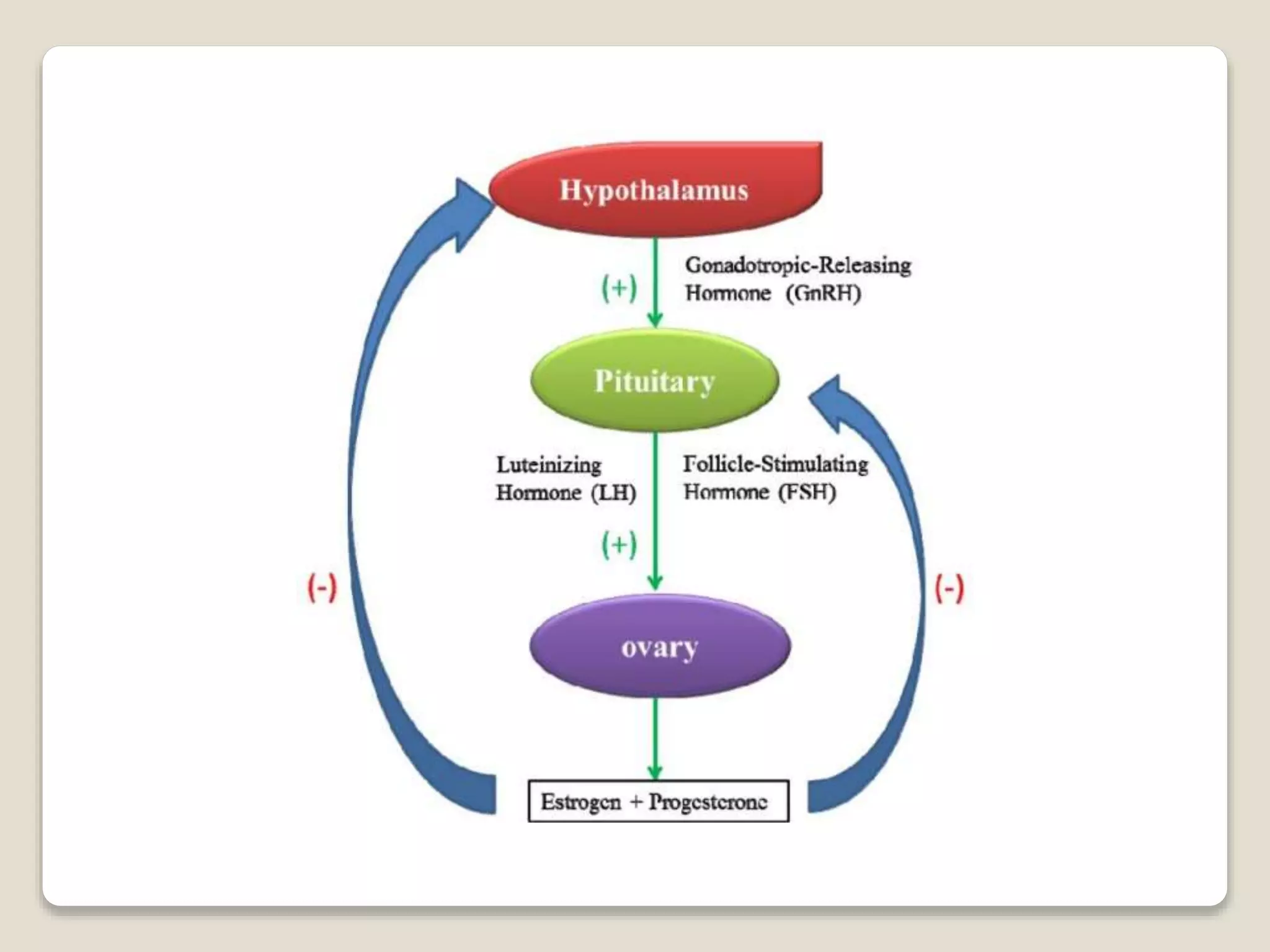 FEEDBACK CONTROL OF HORMONE SECRETION.pptx