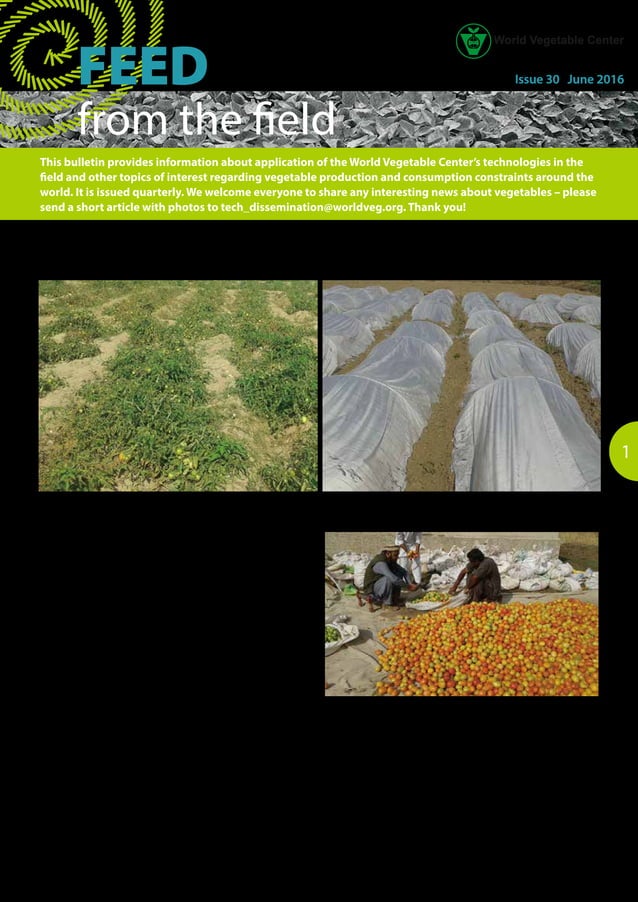 Development of promising hybrids for tomato production in Bangladesh | PDF