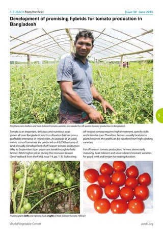 Development of promising hybrids for tomato production in Bangladesh | PDF