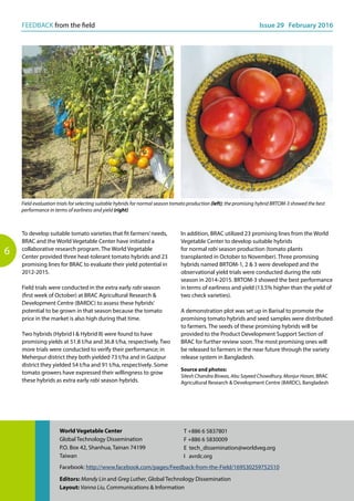 Development of promising hybrids for tomato production in Bangladesh | PDF
