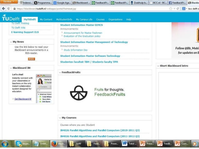 FeedbackFruits - Ewoud de Kok - OWD13