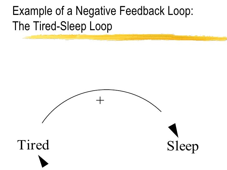 Feedback Loop Examples