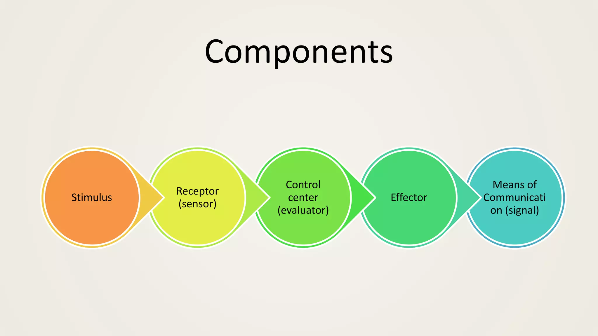 Feedback Regulation Loop (Feedback Mechanism): Positive and Negative Feedback Loop.pptx