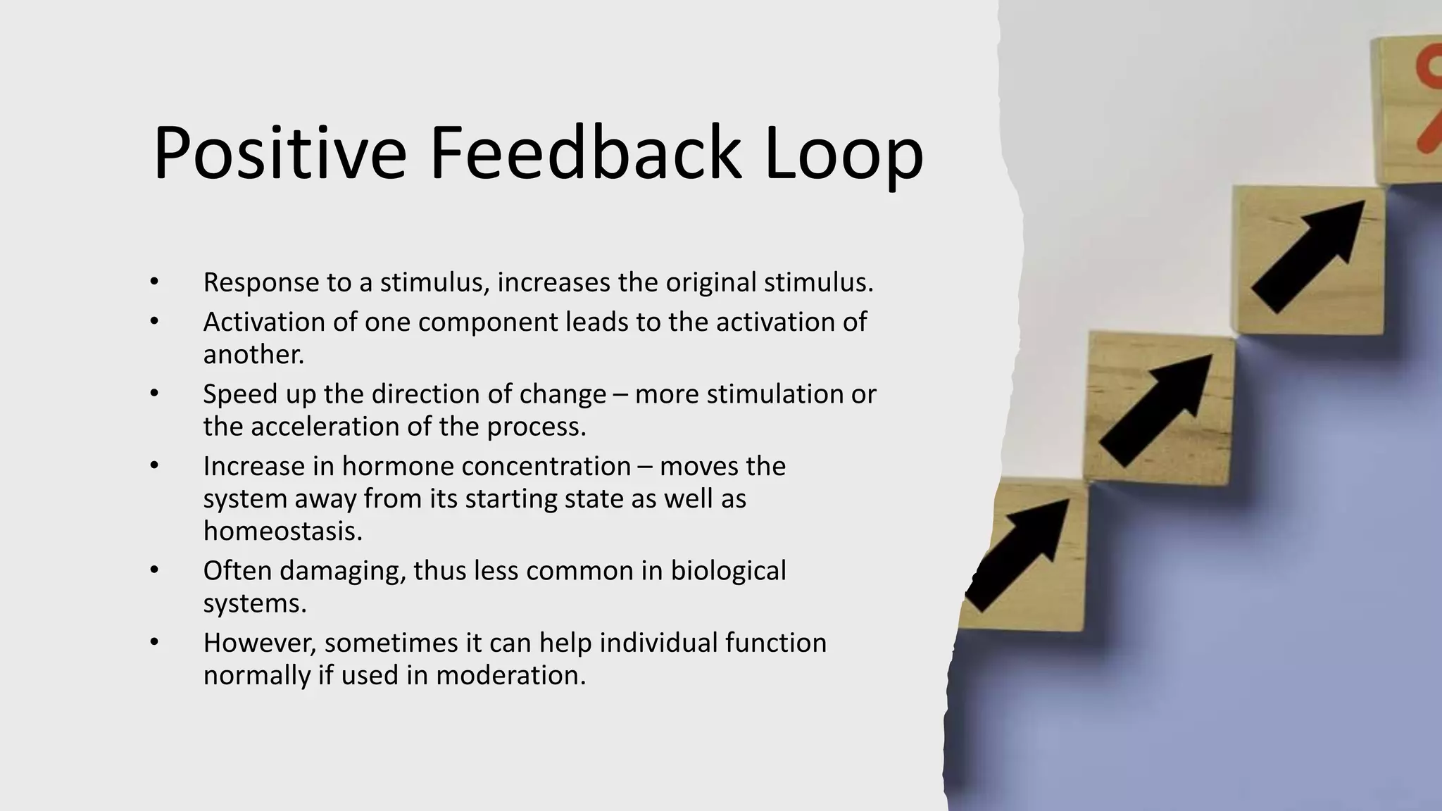 Feedback Regulation Loop (Feedback Mechanism): Positive and Negative ...