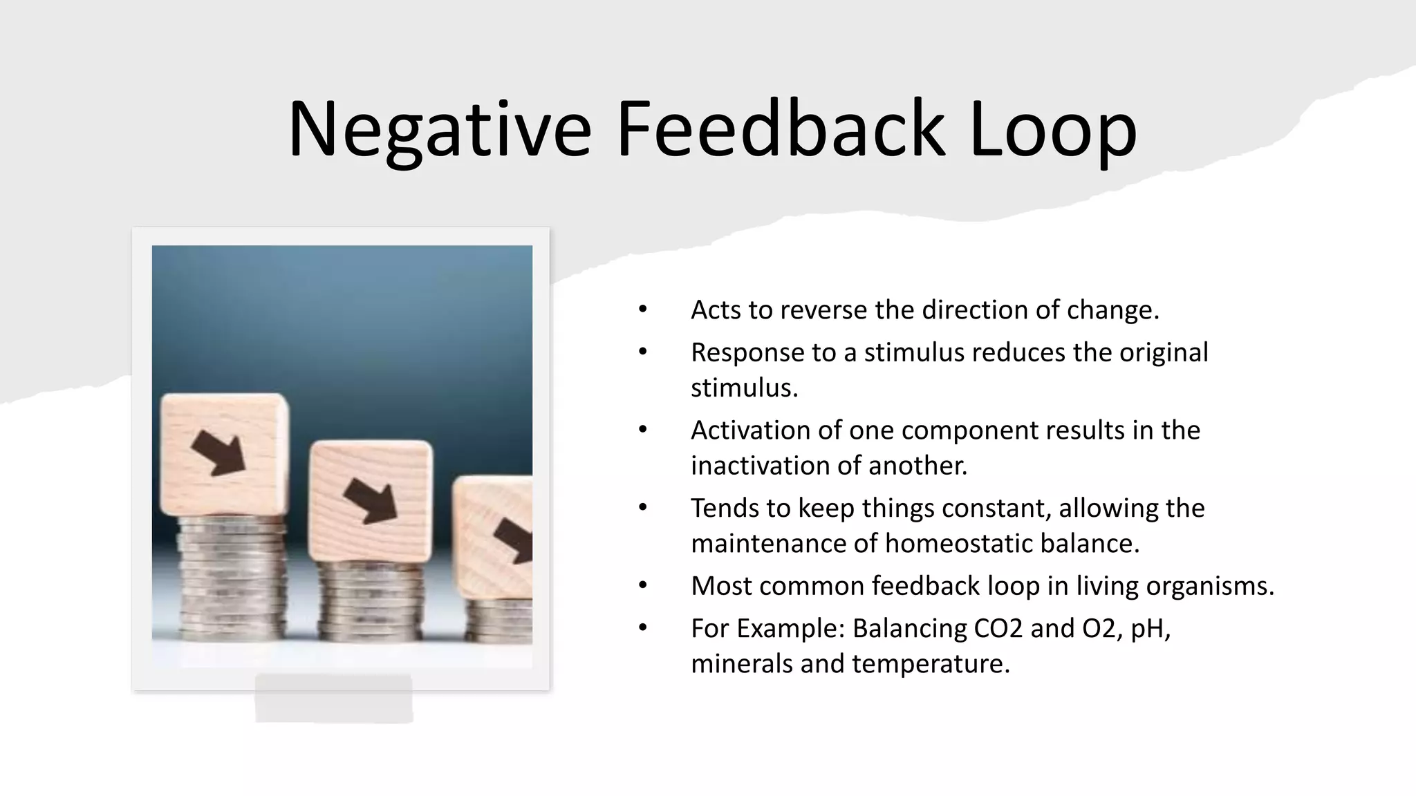 Feedback Regulation Loop (Feedback Mechanism): Positive and Negative ...