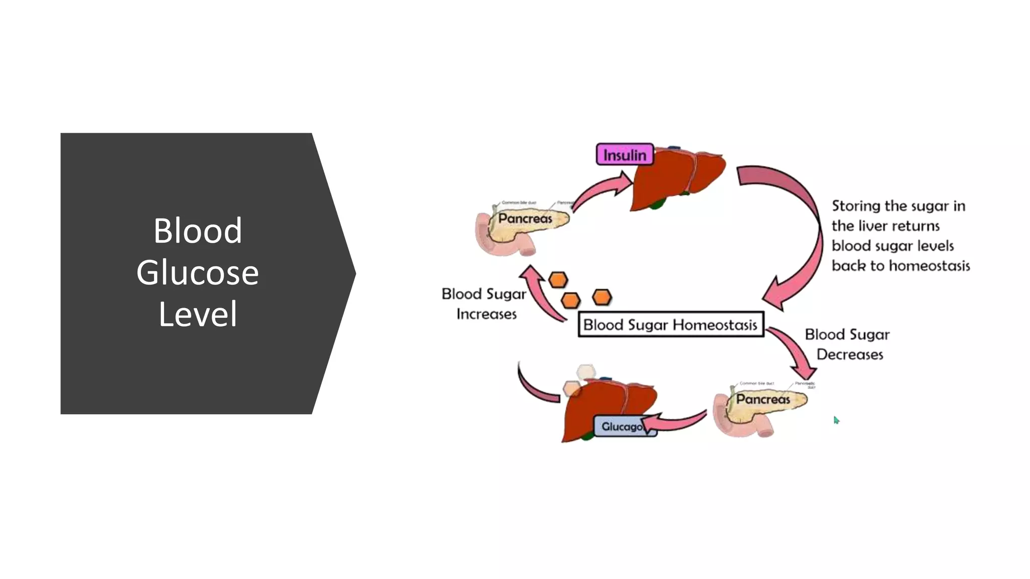 Feedback Regulation Loop (Feedback Mechanism): Positive and Negative ...