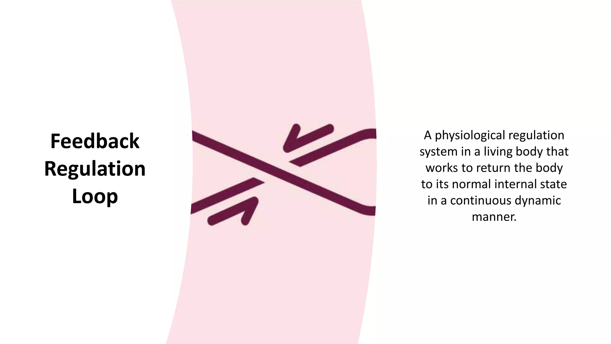 Feedback Regulation Loop (Feedback Mechanism): Positive and Negative ...