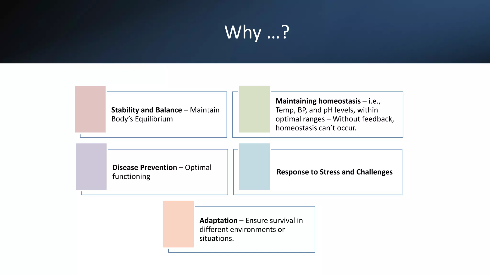 Feedback Regulation Loop (Feedback Mechanism): Positive and Negative ...