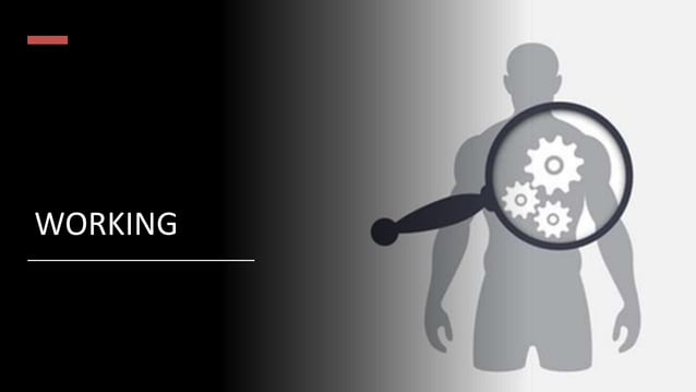 Feedback Regulation Loop (Feedback Mechanism): Positive and Negative ...