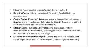 Feedback Regulation Loop (Feedback Mechanism): Positive and Negative ...