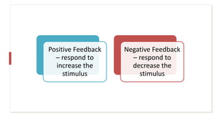 Feedback Regulation Loop (Feedback Mechanism): Positive and Negative ...