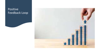 Feedback Regulation Loop (Feedback Mechanism): Positive and Negative ...