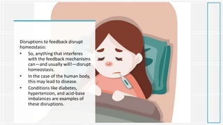 Feedback Regulation Loop (Feedback Mechanism): Positive and Negative ...