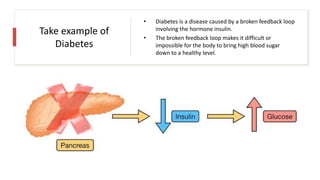 Feedback Regulation Loop (Feedback Mechanism): Positive and Negative ...